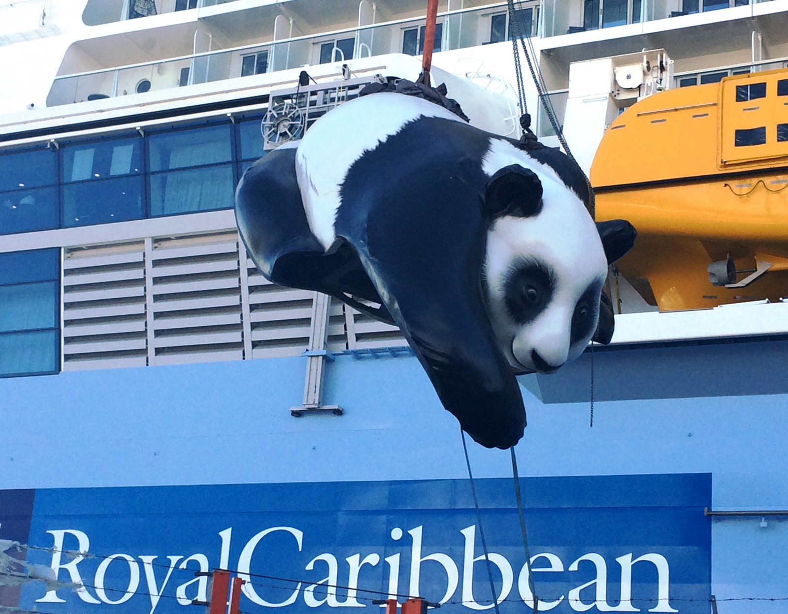 SCH MANAGES GIANT PANDA INSTALLATION FOR OVATION OF THE SEAS - Cruise ...